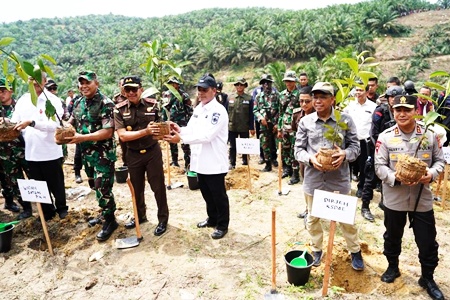 RIAUPAGI.com | Puluhan Tahun Lahan TNTN Ditongkrongi Sawit Ilegal akan Difungsikan Kembali ...